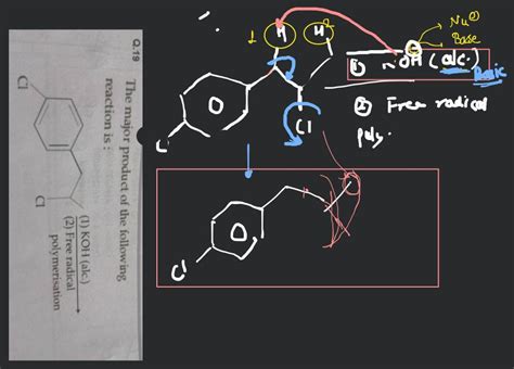 The Major Product Expected From The Following Reaction Is Filo