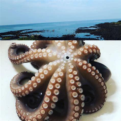 갯동산 평대바당 국수 어제는 울가게 서울단골손님께서 찾아 주셨네요 젊은 부부와 예쁜 공주님이셨는데