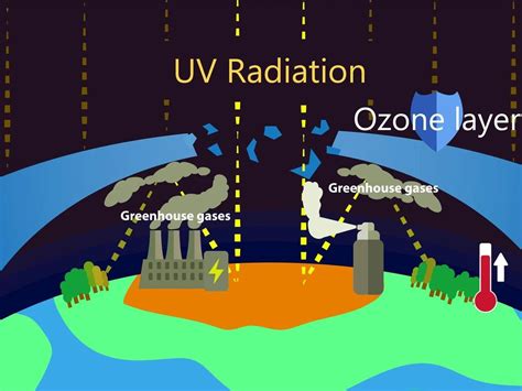 Importance Of Ozone Layer And Its Depletion Causes Effects And