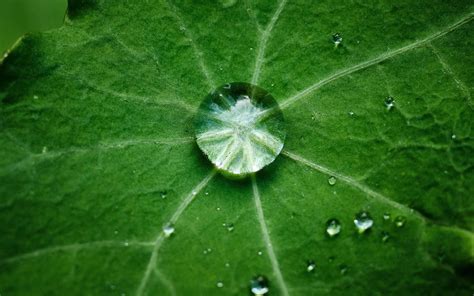 Climate AI How Artificial Intelligence Can Power Your Climate Action Strategy Research