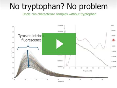 The Power Of Full Spectrum Differential Scanning Fluorimetry Dsf Data In Biologic Development