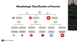 Exercises In CBC Interpretation Iron Deficiency Anemia VuMedi