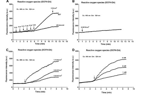 Monitoring The Elevation Of Reactive Oxygen Species In Macrophages A Download Scientific