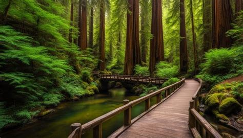 Grizzly Creek Redwoods State Park Explore California Verdant Traveler