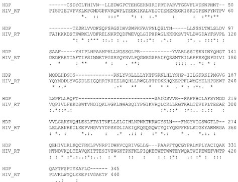 Sequence Alignment Between Hdp And Hiv Rt 1rtd Download Scientific
