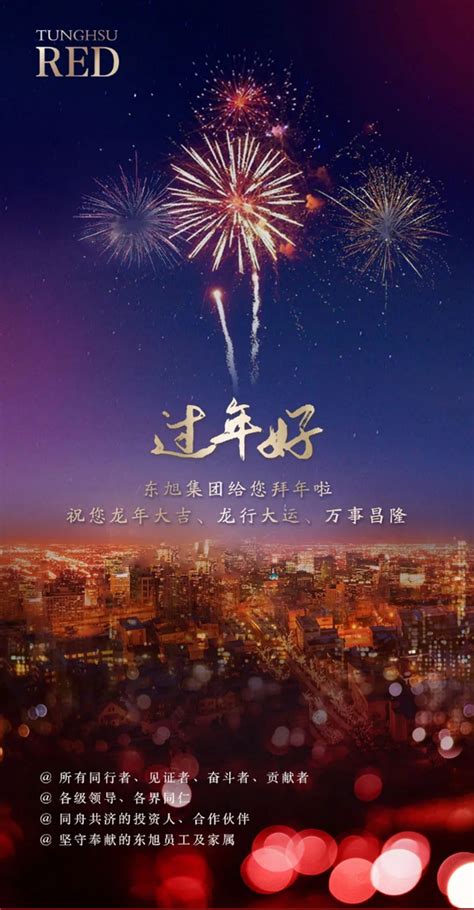 龙启新岁 2024再以奋斗作序 公司新闻 东旭集团官网