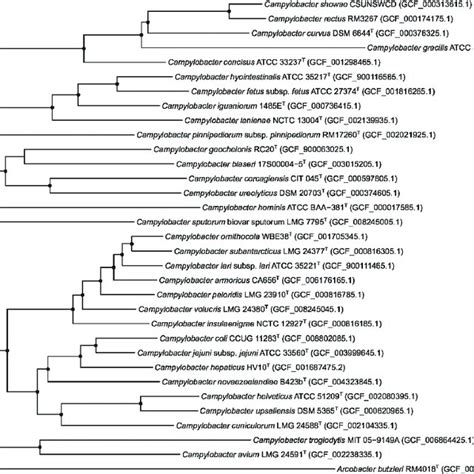 Maximum Likelihood Tree Based On The Core Genome The Dots On The Nodes
