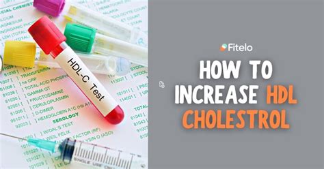 How To Increase Hdl Cholesterol Effective Ways To Improve
