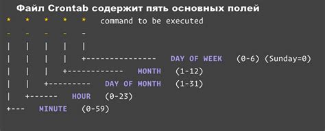 Примеры редактирования и создания задач Cron Crontab в Linux