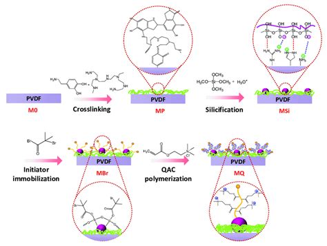 Schematic Of Modification Procedures Using Atrp And Silica Download Scientific Diagram