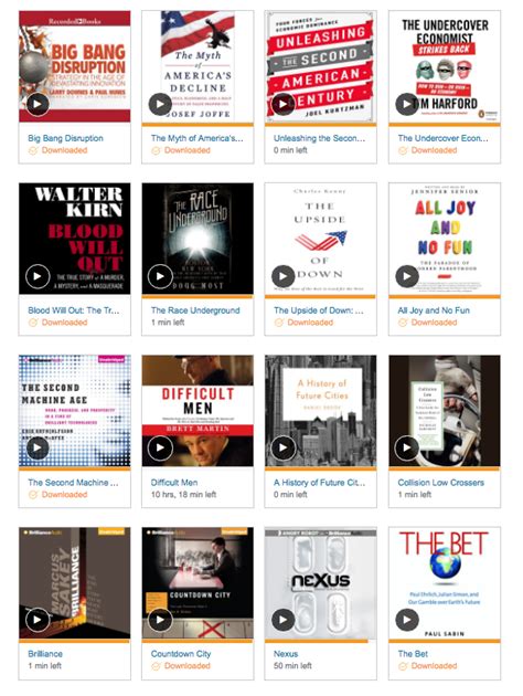 A Visual Representation Of My Audiobook Library