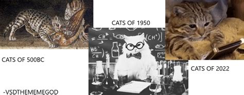 Evolution Of Cats Meme By Vsdthememegod Memedroid