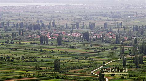 Опожарена нива со овошни насади помеѓу Волино и Мороишта • Webohrid