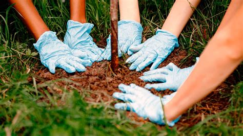 7 De Julio De 1963 Día De La Conservación Del Suelo Argentinagobar