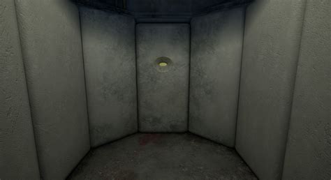 Insane Asylum Padded Room