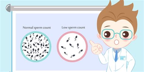 Low Sperm Count Causes Symptoms Prevention And Treatment