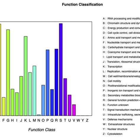 Classification Of COG Functions Of Chromosome In DNA Libraries COG Download Scientific
