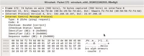 Explorez La Programmation Réseau Avec Scapy