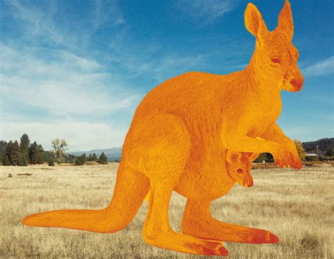 Тайны животных с шерстью клыками и копытами Музейный Кот