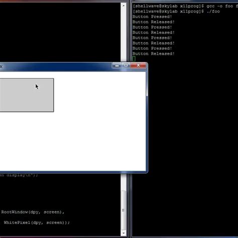 Xlib Programming In C And Linux Tutorial 01 Creating A Video Master