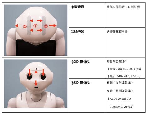 Pepper初级教程：第一章 Pepper的硬件介绍 Csdn博客