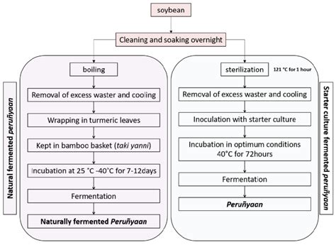 Comparative Flowchart For The Naturally Fermented Soybean Food Download Scientific Diagram