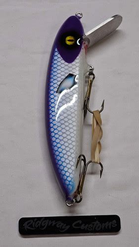 Inch Sexy Cisco Ridgway Customs