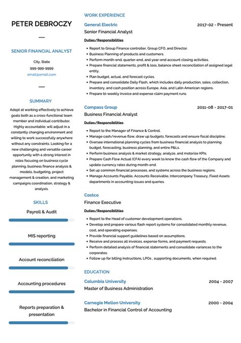 Financial Analyst Cv Examples And Templates Visualcv