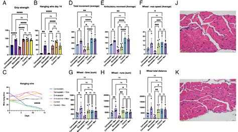 Oral Mevalonolactone Treatment In Murine Statin Induced Myopathy Mice Download Scientific