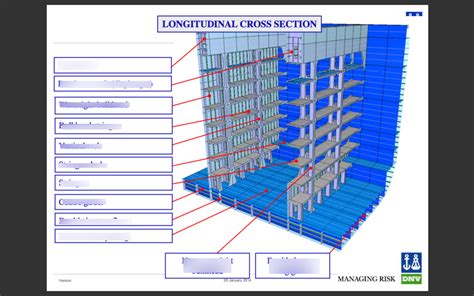 Longitudinal Cross Section Diagram Quizlet