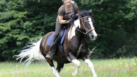 Pferdepass And Co Diese Papiere Brauchen Sie Cavallo De