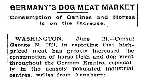 Why Are Hot Dogs Called Hot Dogs — Today You Should Know