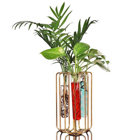 Triplets Test Tube Plants Plantshop