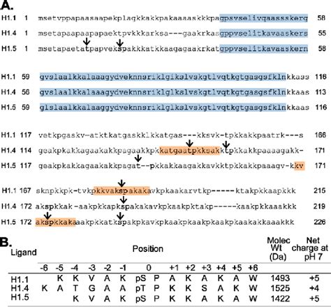 Peptide Sequences Used In This Study A Sequence Alignment Of
