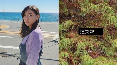 露營隔壁嬰兒哭整晚百萬網紅魚乾無奈曝錄音不是不想體諒 ETtoday星光雲 ETtoday新聞雲