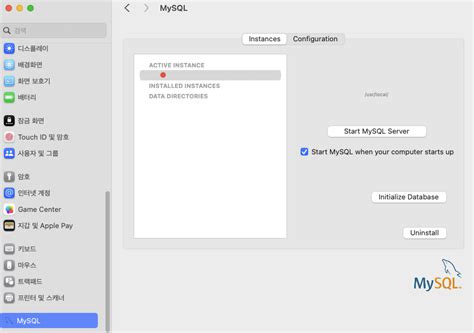 mysql 비밀번호 분실 시 삽질