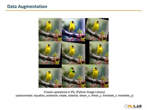 Augmix A Simple Data Processing Method To Improve Robustness And