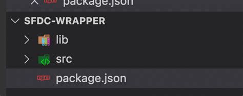 Building A Salesforce Api Wrapper With Js Part 1—project Structure