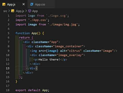 Image Text Overlay On Hover In React Js DEV Community