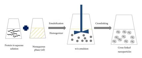 Preparation Of Protein Nanoparticles By Emulsionsolvent Extraction