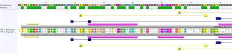Understanding Sequence Alignment Geneious