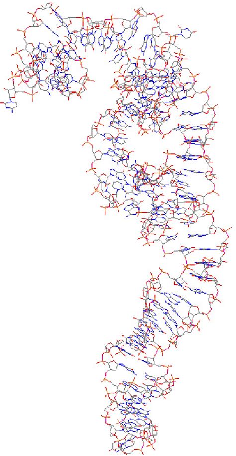 Figure 11 From Structure Based Multiple Rna Sequence Alignment And