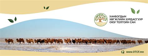 Ханбогдын Хөгжлийн Хурдасгуур Оюу Толгойн Сан Oyu Tolgoi Catalyst Fund Khanbogd