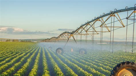 Automated Systems For Irrigation Fertigation And Hydroponics