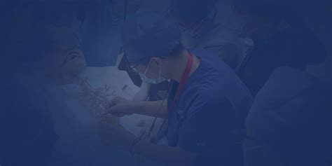 Full Body Models Supplier Human Circulatory System 3d Working Model Preclinic Medtech