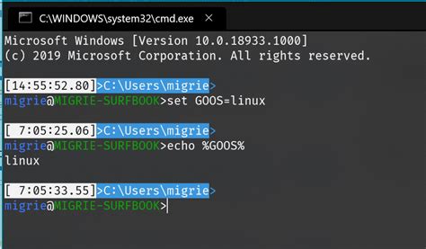 goos set bug · issue 1904 · microsoft terminal · github
