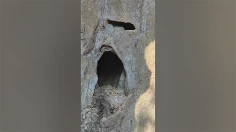 کشف نیایشگاه هخامنشی منحصر بفرد توسط گروه زربینمجسمه سنگی خدای آنانوکی