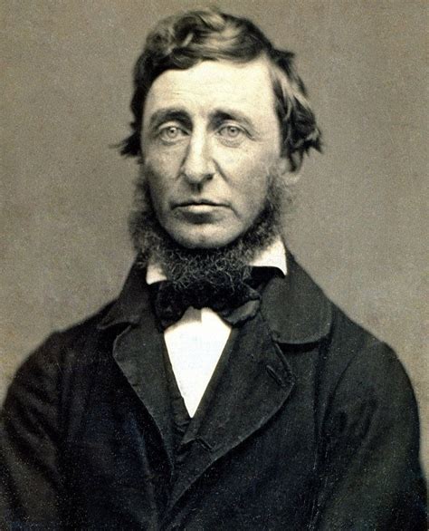 Thoreau On Living Through Loss The Marginalian