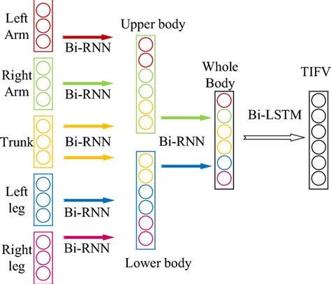 Structure Of Main Network Model Download Scientific Diagram