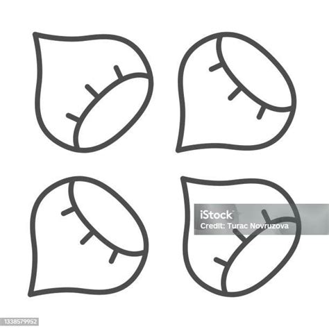 구운 밤 얇은 라인 아이콘 길거리 음식 컨셉 흰색 배경에 한국 견과류 로스트 벡터 사인 모바일 컨셉 및 웹 디자인을위한 윤곽 스타일 아이콘 벡터 그래픽 0명에 대한 스톡